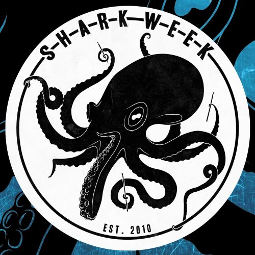 Shark Week Shark Week Oshawa ON Live At The Moustache Club March 28 2015 shark-week-shark-week-oshawa-on-live-at-the-moustache-club-march-28-2015